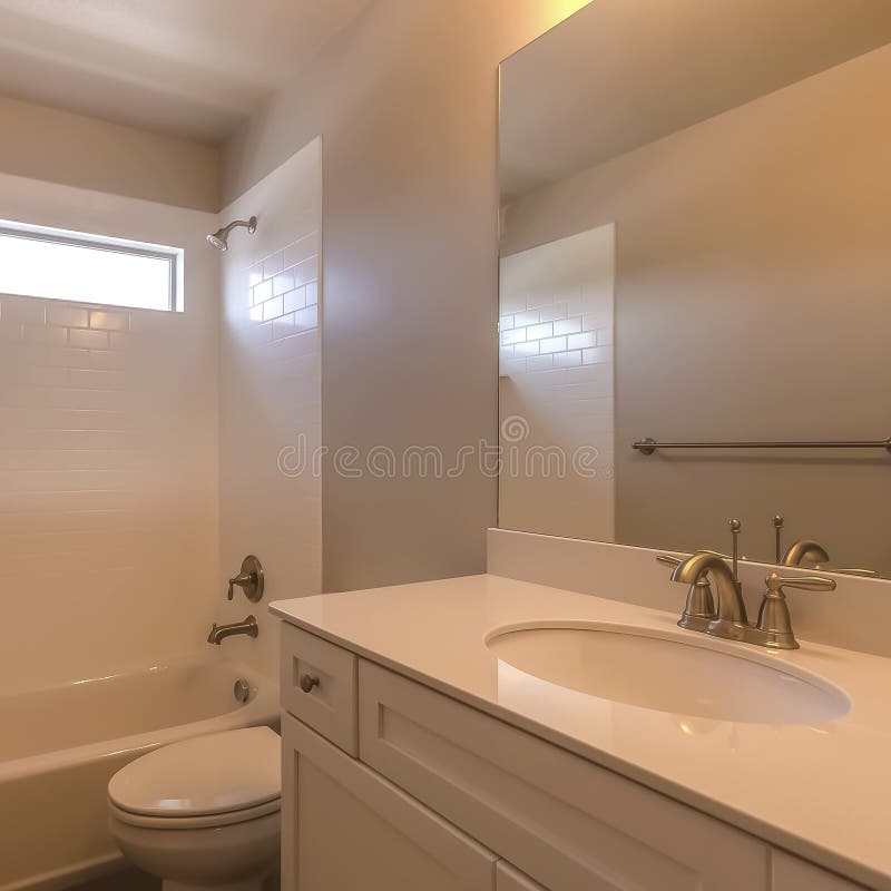 Square Vanity Area Toilet Bathtub and Shower Inside the Bathroom of a ...