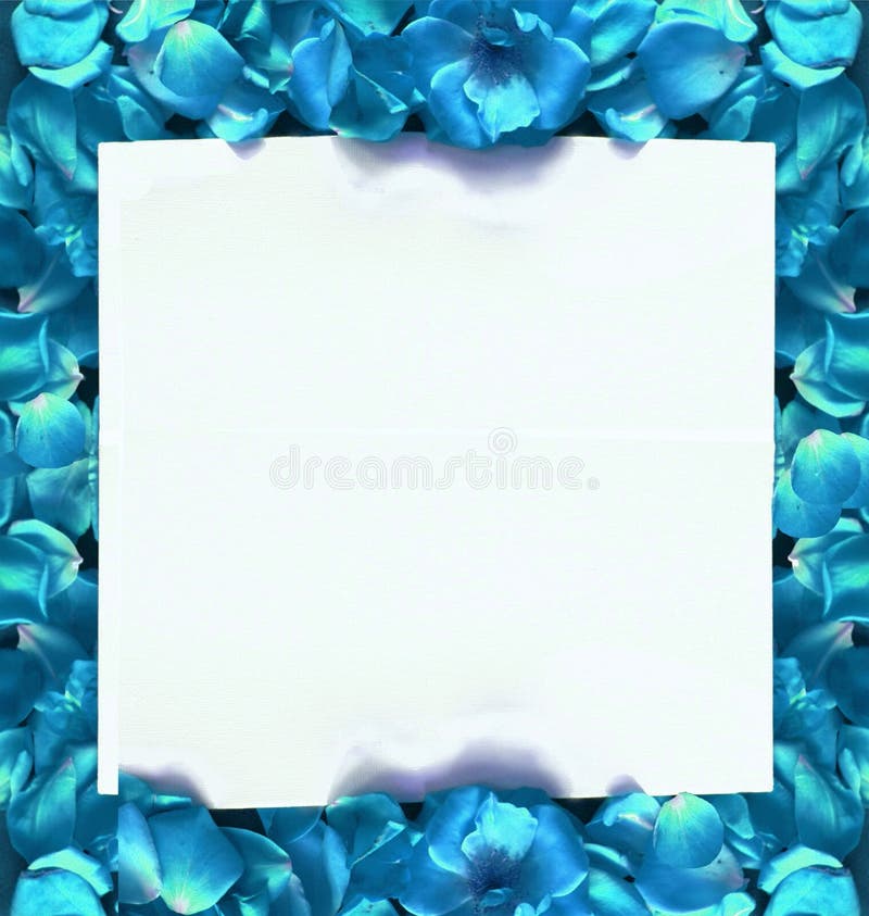 Square White Frame with Royal Blue Petal and Roses Stock Photo - Image ...