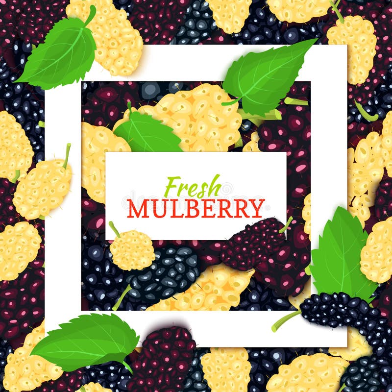 Mulberry Jam Stock Illustrations – 261 Mulberry Jam Stock Illustrations ...