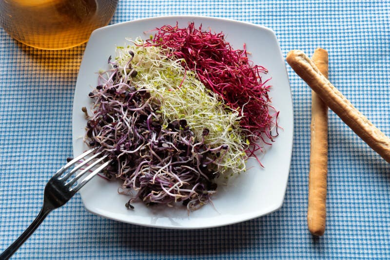 Square White Plate Full of Three Species of Sprouts Stock Photo - Image ...