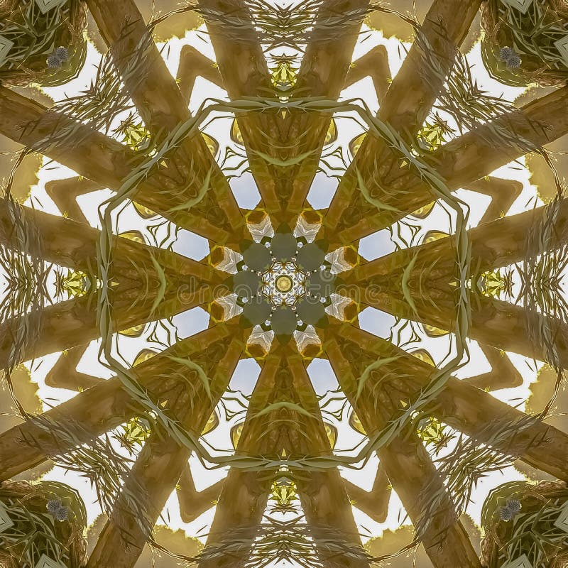 Square Wild Angular Shapes of a Flower Arrangement Showing only Leaves ...