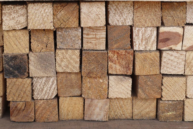 Legado Visual (Legadovisual) - Photographer profile