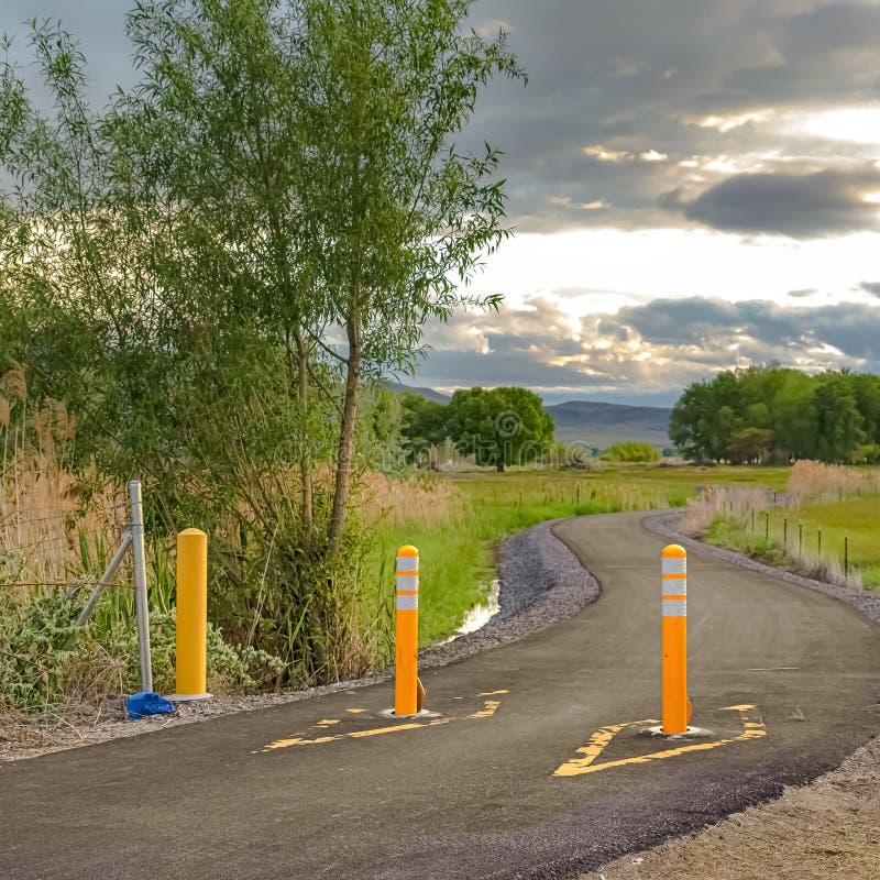 Square Yellow Traffic Delineator Posts on a Road with View of Trees and ...