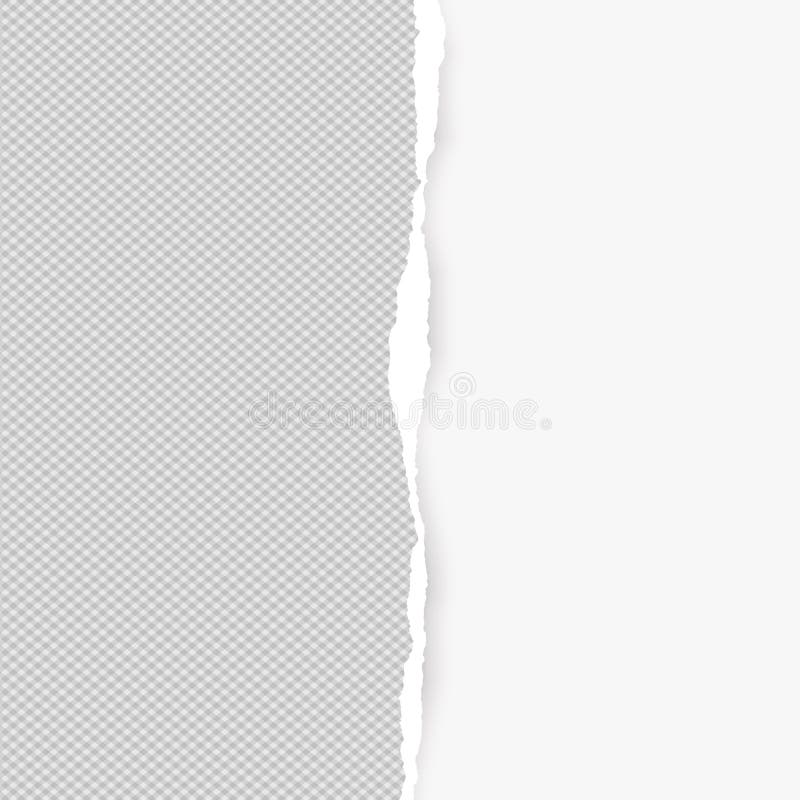 Paper Tear Vertical Stock Illustrations – 173 Paper Tear Vertical Stock ...