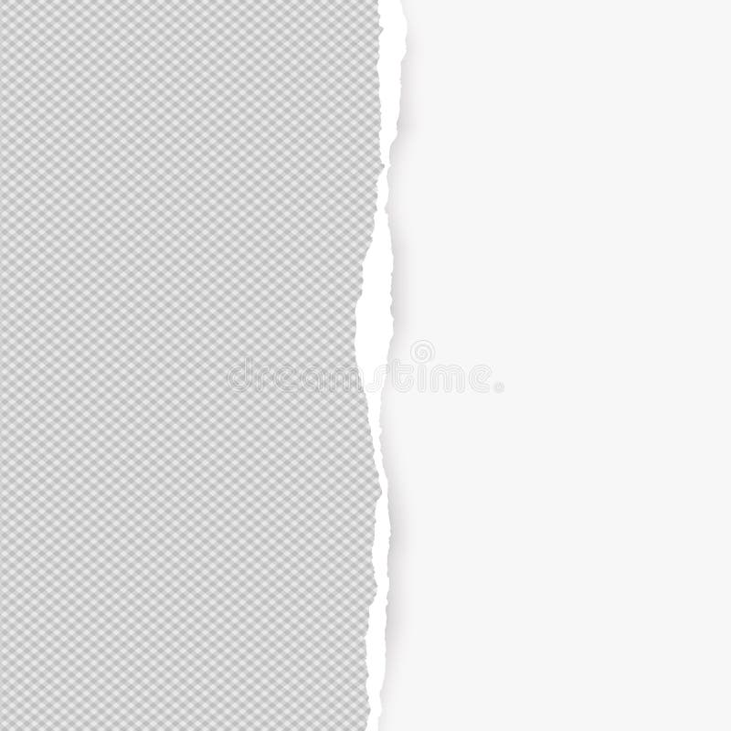 Paper Tear Vertical Stock Illustrations – 173 Paper Tear Vertical Stock ...