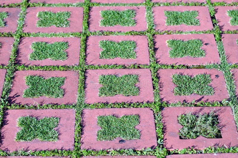 Squares of Grass stock photo. Image of garden, organised - 15648744