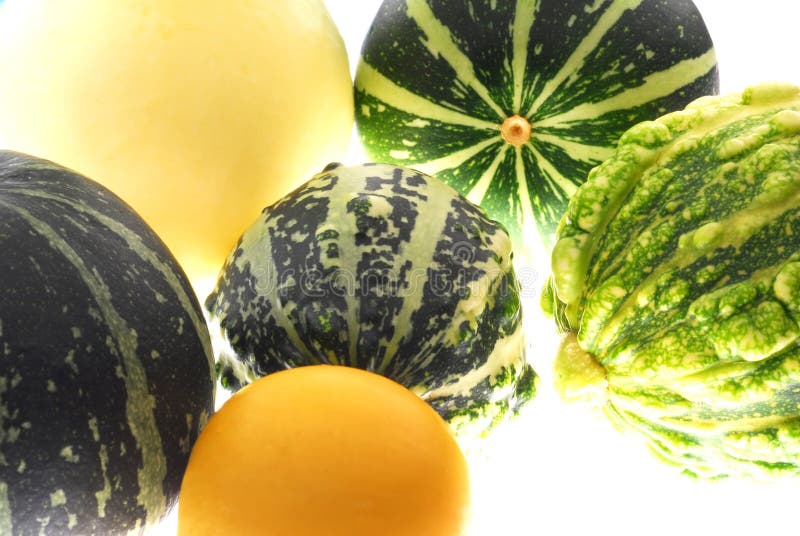 Squash stock photo. Image of colorful, autumn, market - 3105184