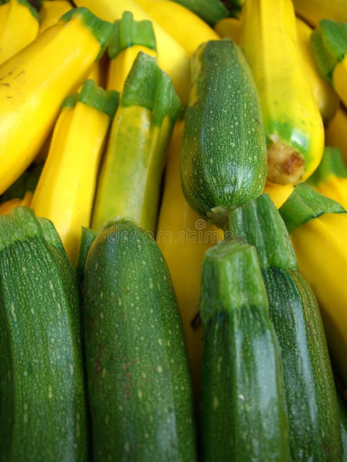 Squash stock image. Image of green, farmstand, vegetables - 978295