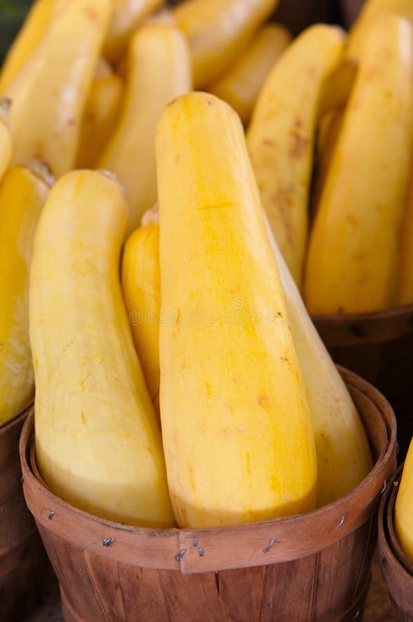 Squash in a basket stock photo. Image of close, food, gourd - 4365334