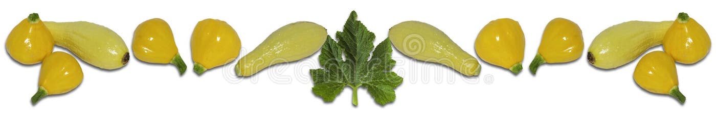 Assorted Squash Stock Illustrations – 1,501 Assorted Squash Stock ...