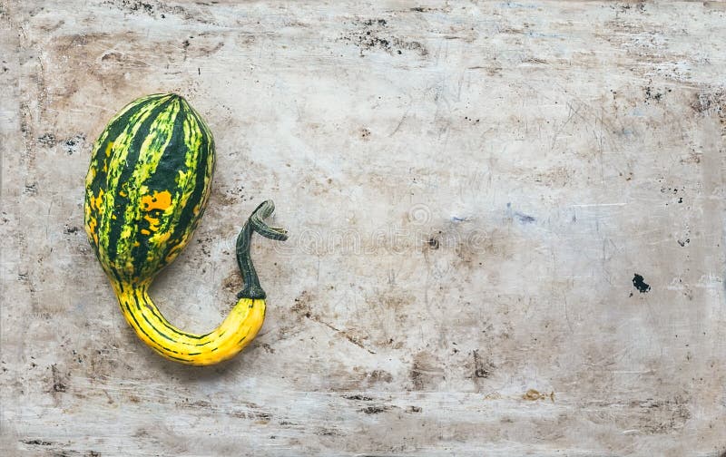 Squash of a Freakish Shape on the Old Metal Surface Stock Photo - Image ...
