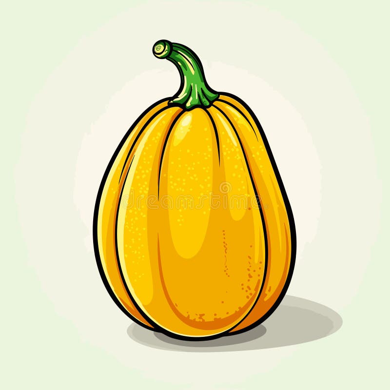 Squash Hand-drawn Illustration. Squash. Vector Doodle Style Cartoon ...