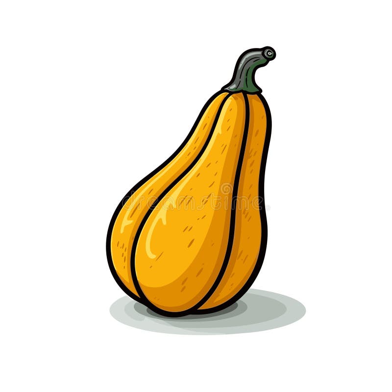 Squash Hand-drawn Illustration. Squash. Vector Doodle Style Cartoon ...