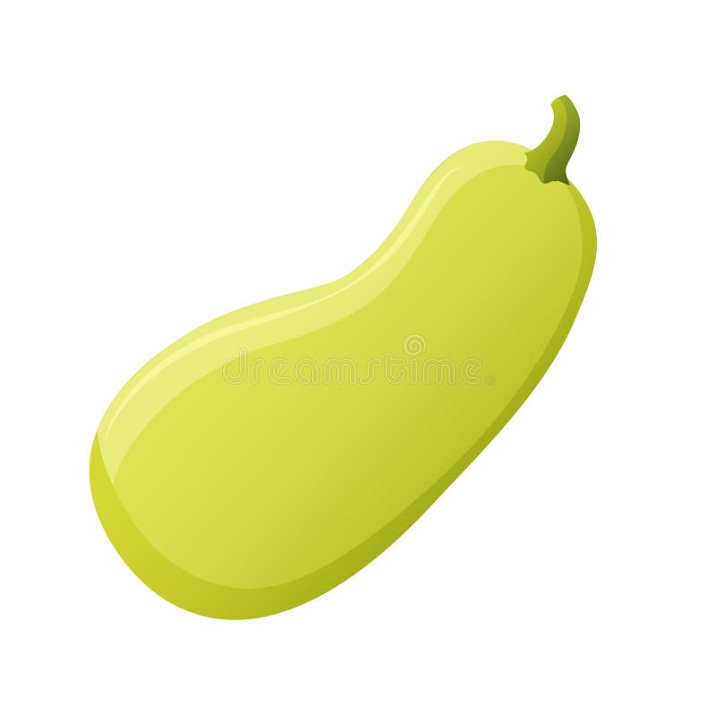 Squash Icon. Cartoon Style Object. Vector Illustration Stock ...