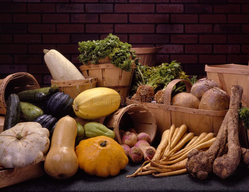 Olika rotfrukter fotografering för bildbyråer. Bild av nytt - 61055367