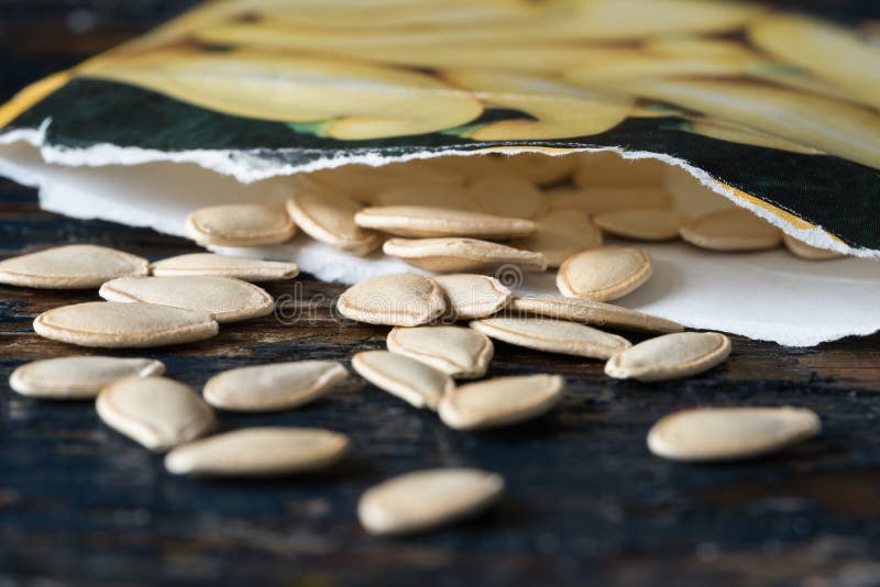 Squash Seeds Spilled from a Seed Packet Stock Image - Image of envelope ...