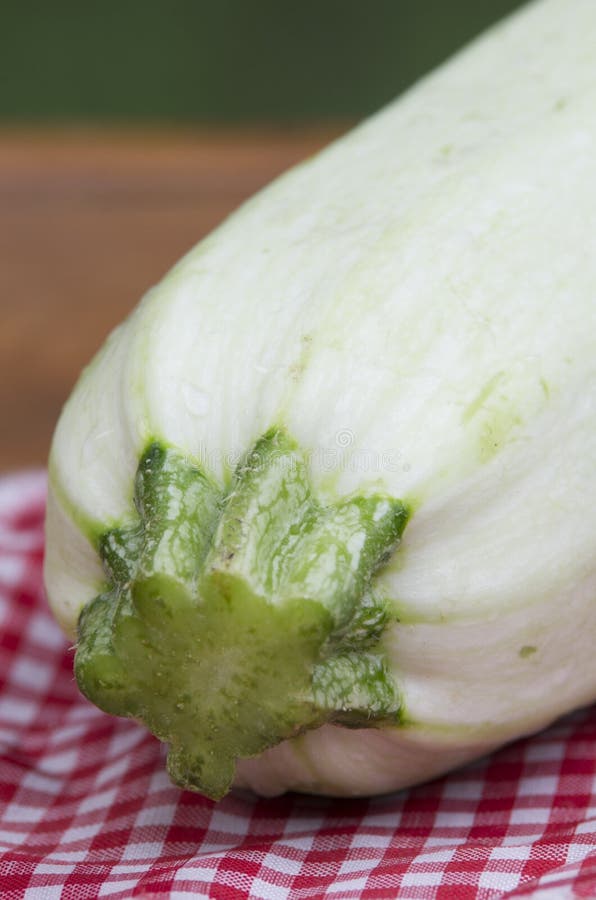 Squash on table stock photo. Image of checks, detail - 43389292