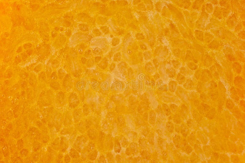 Squash texture. stock image. Image of stem, gourd, colored - 16107605