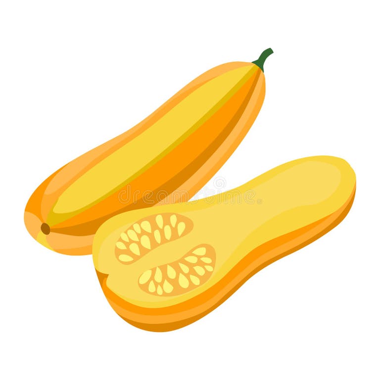 Yellow Squash Stock Illustrations – 9,189 Yellow Squash Stock ...