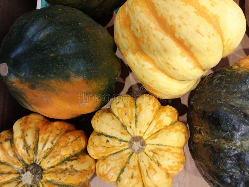 Squash Vegetables stock image. Image of squash, food - 139308053