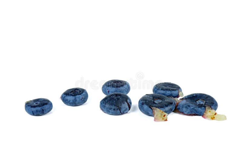 Squashed Blueberry Isolated on a White Stock Image - Image of blue ...