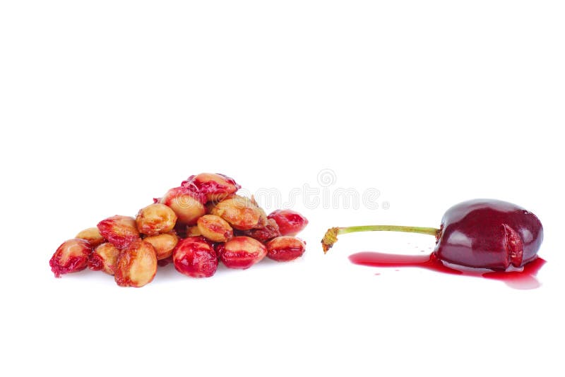 361 Squashed Fruit Stock Photos - Free & Royalty-Free Stock Photos from ...