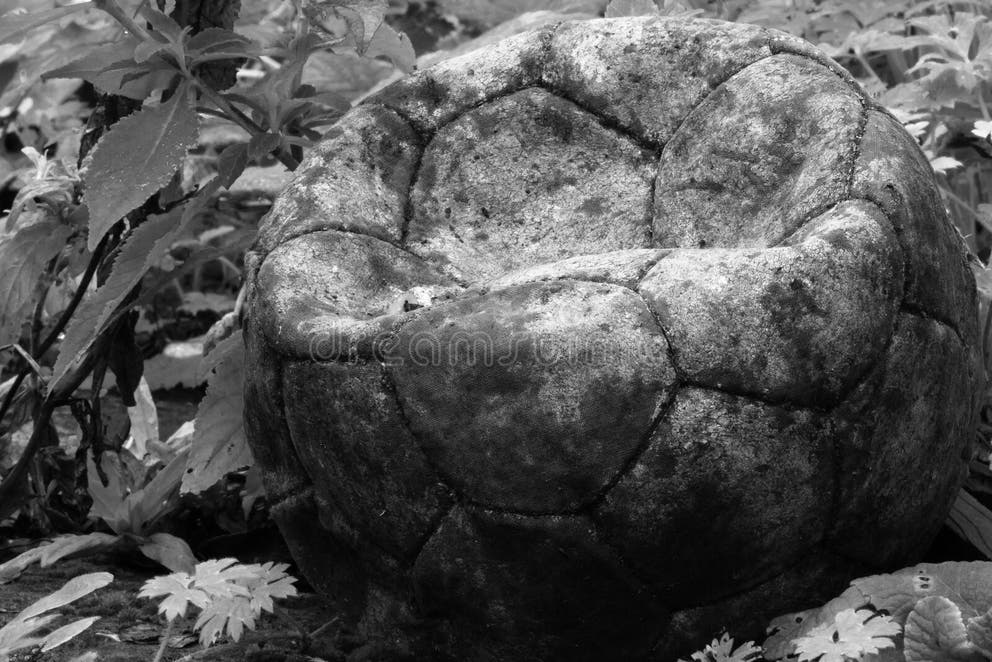 Squashed football stock image. Image of mono, garden - 60160717