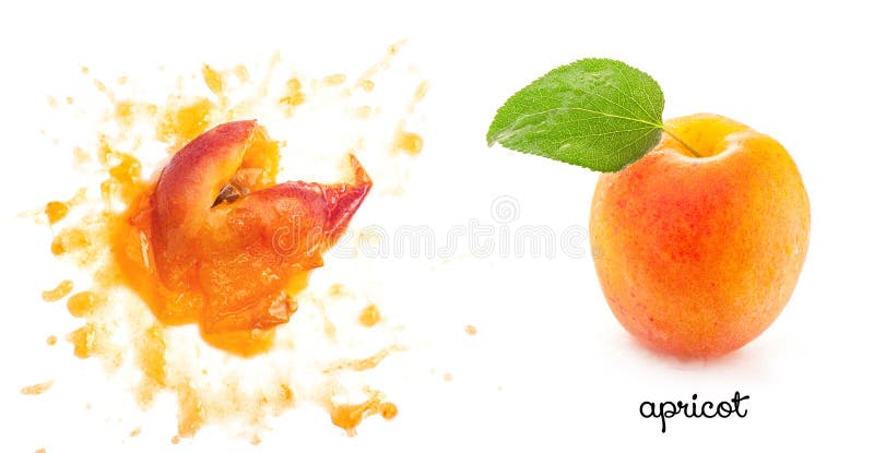 Squashed Ripe Apricot Stock Photos - Free & Royalty-Free Stock Photos ...