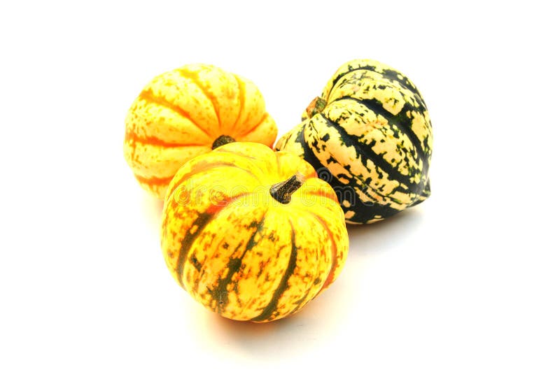 Squashes stock photo. Image of food, diet, harvest, isolated - 6577180
