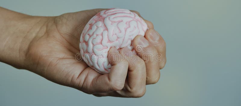 Squeezing a Fake Brain, Web Banner Format Stock Photo - Image of ...