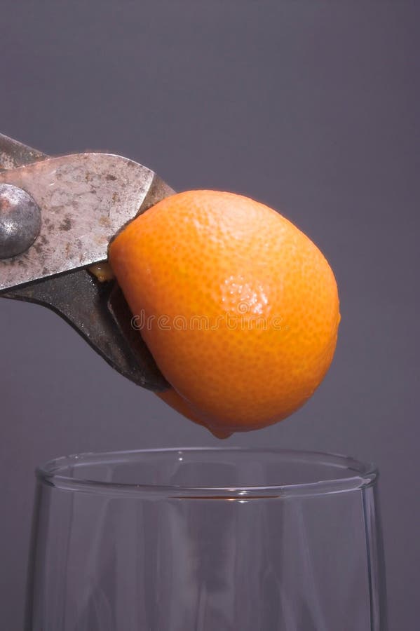 Squeezing an Orange stock photo. Image of fresh, pliers - 2824910