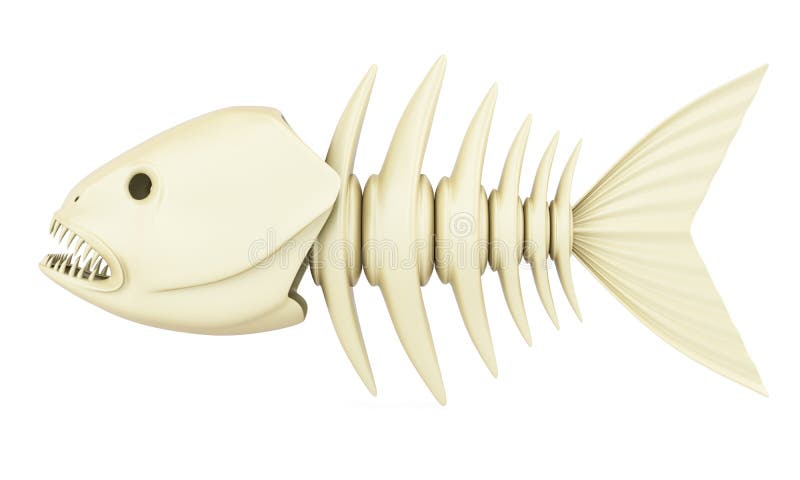 Squelette de poissons illustration stock. Illustration du marin - 45791721