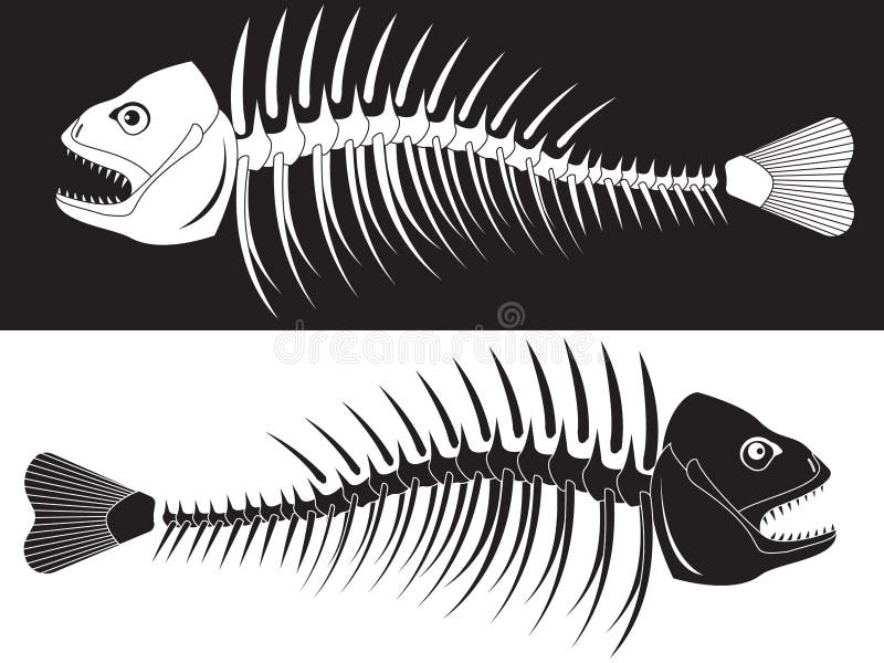 Squelette D'illustration De Vecteur De Livre De Coloriage De Poissons ... Squelette D'illustration De Vecteur De Livre De Coloriage De Poissons ...