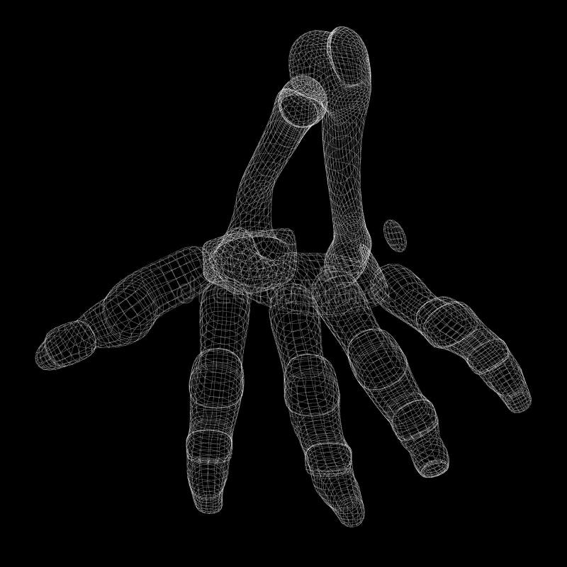 Squelette humain de main illustration stock. Illustration du biologie ...