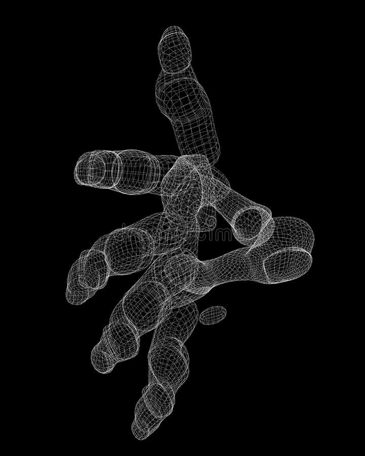 Squelette humain de main illustration stock. Illustration du rayon ...