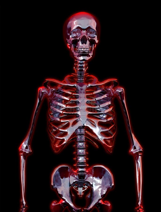 Ensemble Humain De Squelette Illustration 3D Illustration Stock ...