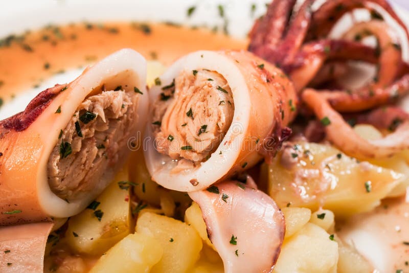 Squid stock image. Image of market, flakes, meal, dinner - 25529849