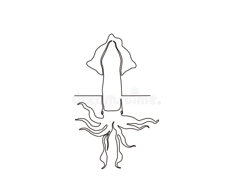 Cuttlefish Line Art Stock Illustrations – 648 Cuttlefish Line Art Stock ...