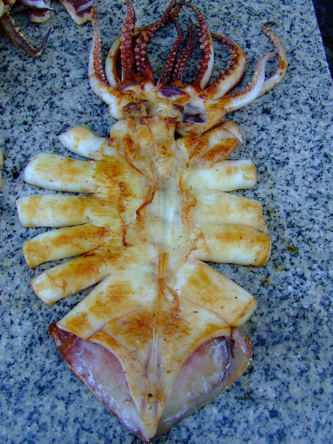 Squid stock image. Image of grill, stove, food, squid - 49184585