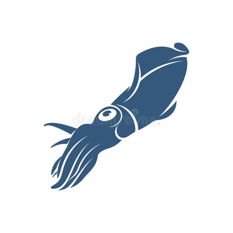 Squid Design Vector Illustration, Creative Squid Logo Template, Icon ...