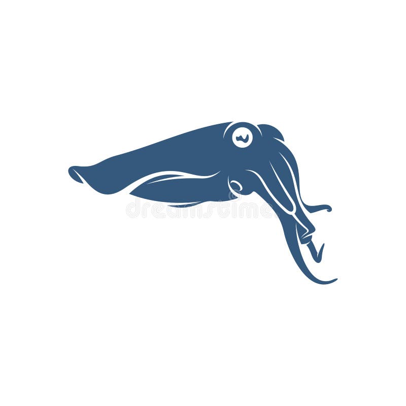 Squid Design Vector Illustration, Creative Squid Logo Template, Icon ...