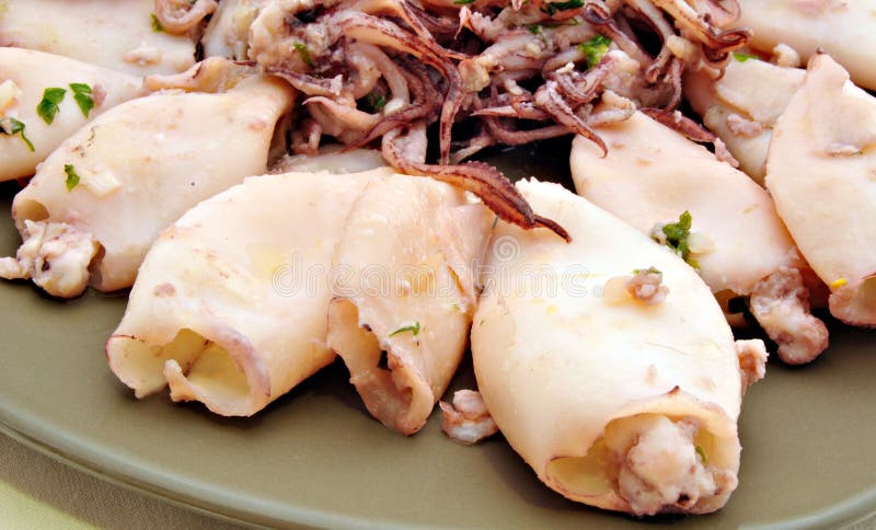 Squid dish stock photo. Image of cuisine, octopus, natural - 17991996