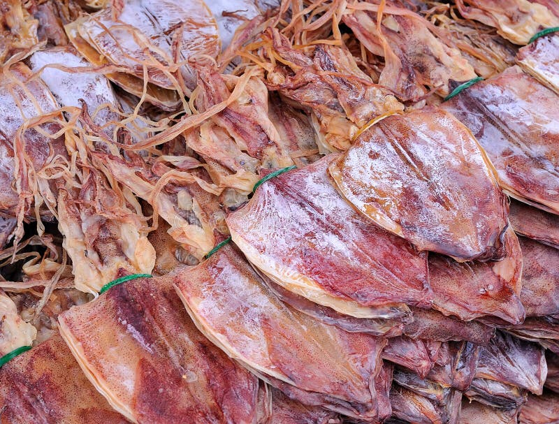 Squid drying stock image. Image of freshness, market - 44488547