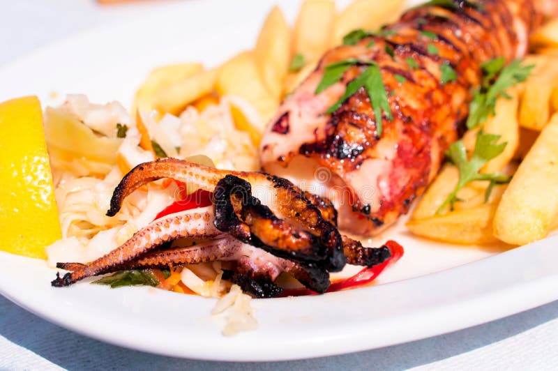 Squid fish stock photo. Image of basil, feta, delicious - 33488500