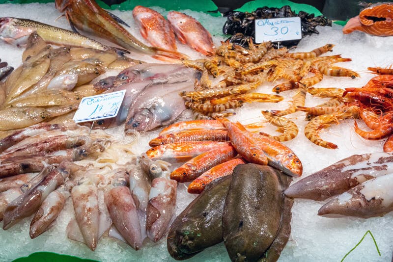 Squid, fish and seafood stock image. Image of ocean - 258024843