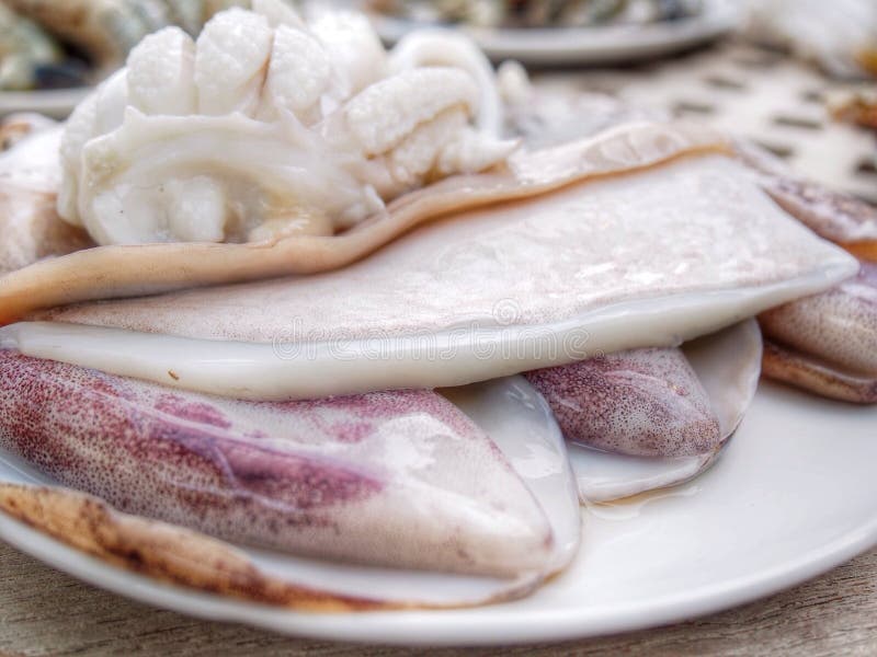 Raw squid stock image. Image of cold, squid, fishing - 43820373