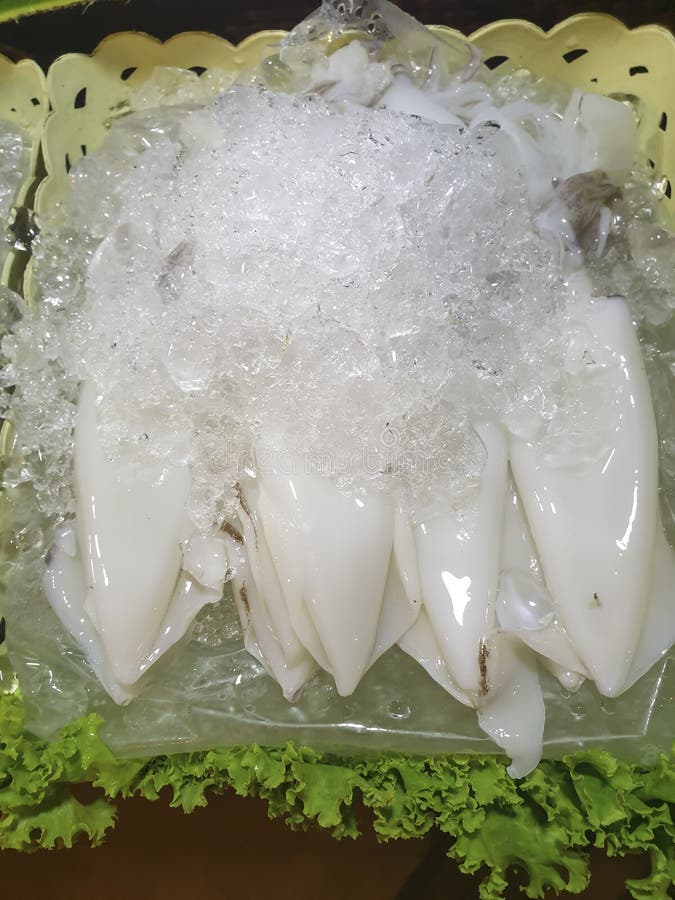 The squid is with ice stock photo. Image of board, healthy - 191769080