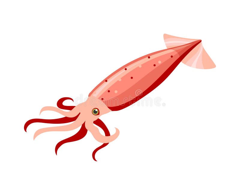 Calamari Icon Stock Illustrations – 575 Calamari Icon Stock ...