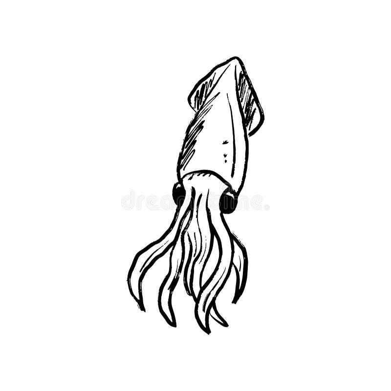 Squid with Long, Flowing Tentacles in Black Brush Stroke Texture Isolated on White. Hand Drawn ...