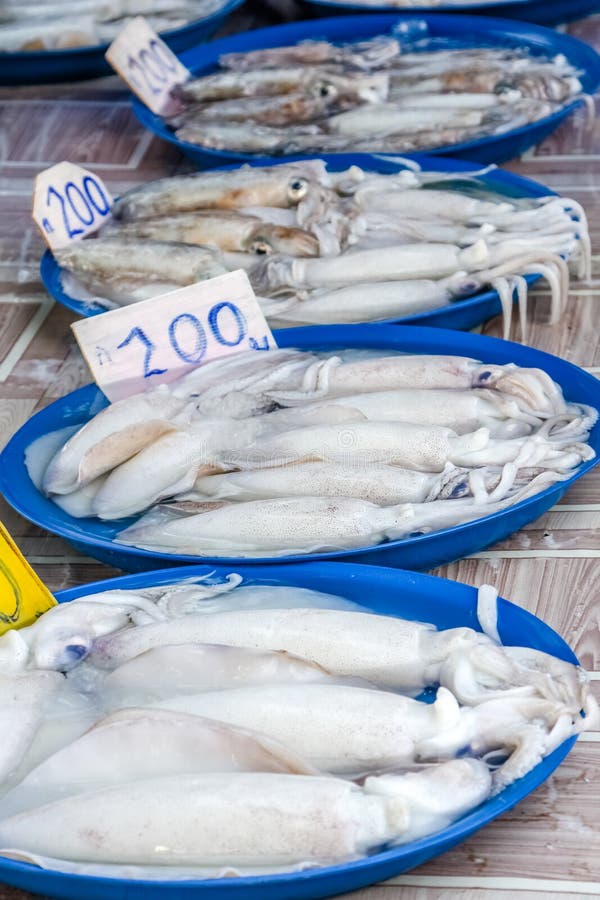 Squid in market stock image. Image of squid, food, gourmet - 53365231